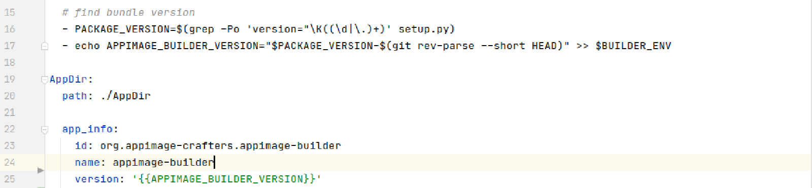 Exporting environment variables on appimage-builder